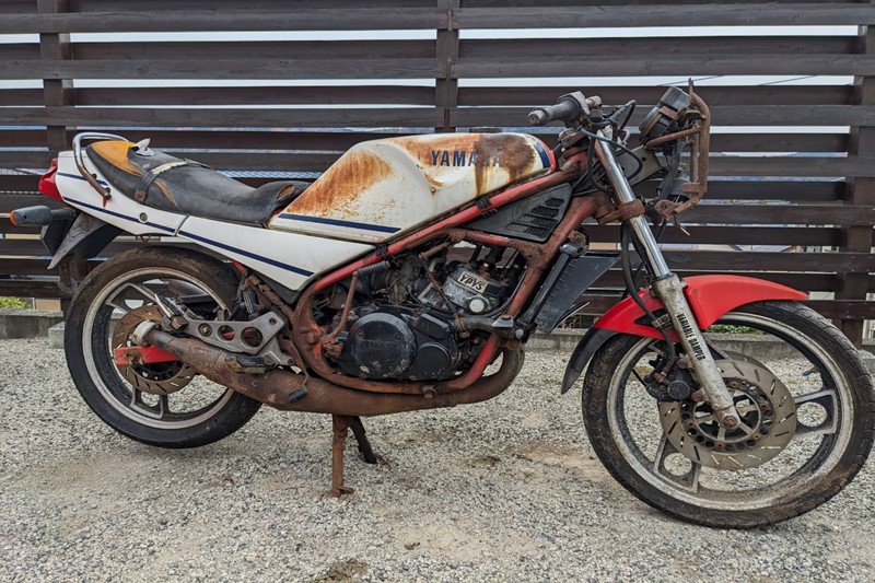 日本代購代標第一品牌【樂淘letao】－【送料Sサイズ】YAMAHA 29L-044*** RZ250RR ネックカバー 検.( 51L 1AR 1XG 3HM RZR 202312 14 黄1